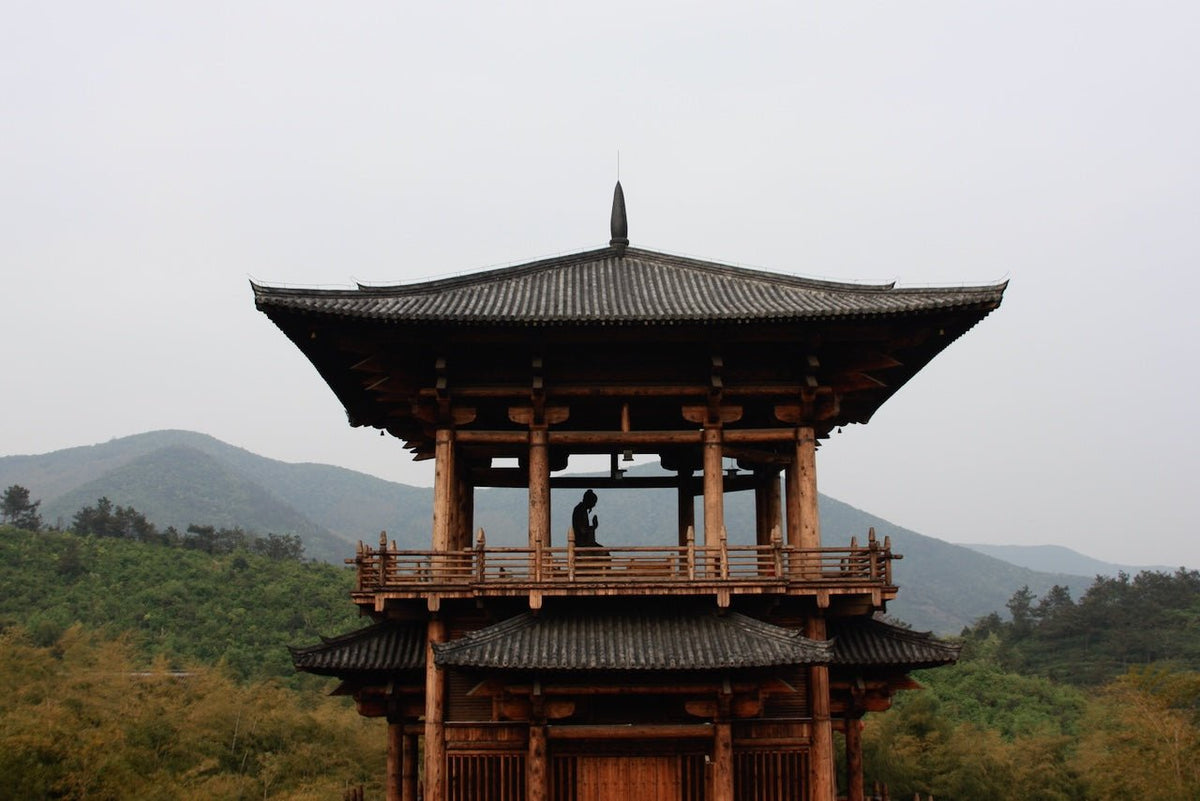 LU YU, THE TEA SAINT, AND HIS 'PURPLE BAMBOO' (ZISUN) TEA PLANT | O5 ...