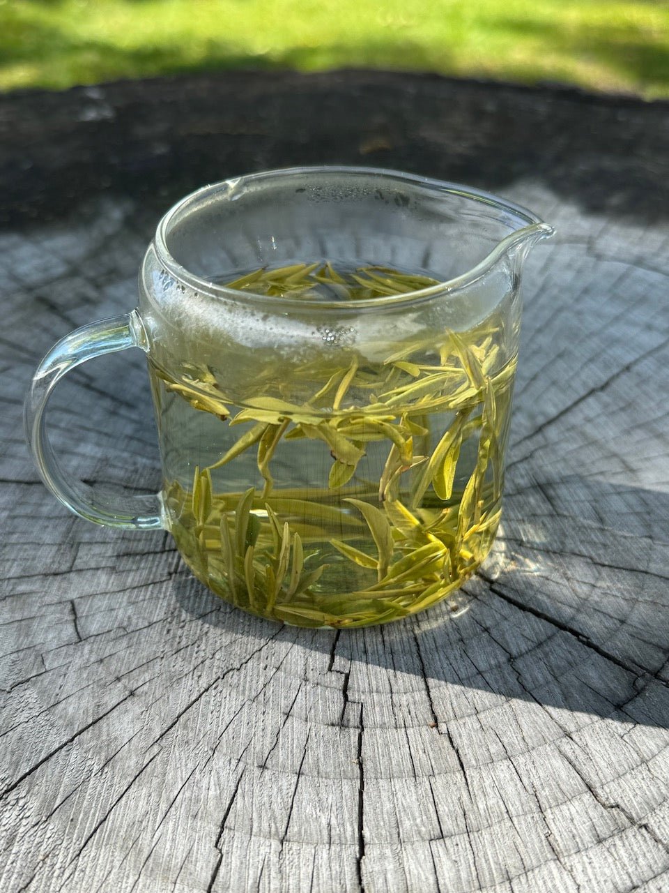 What is green tea? Choose your favourite green tea. | O-FIVE RARE TEA BAR