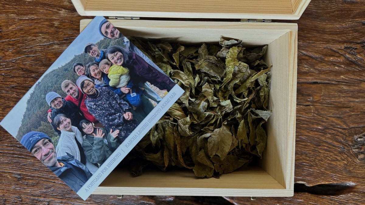 TEA CHEST + CULTURE QUEST | Ishimoto Akemi's Winter Tea (Kancha) | O5 ...