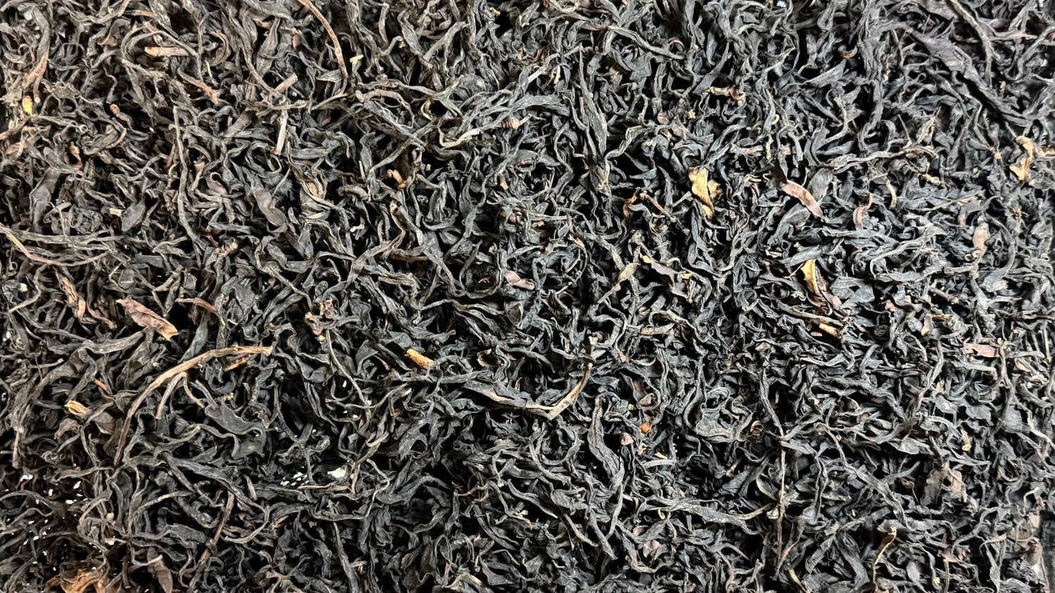 ANCIENT TREE RED TEA, YUNNAN | O5 RARE TEA BAR