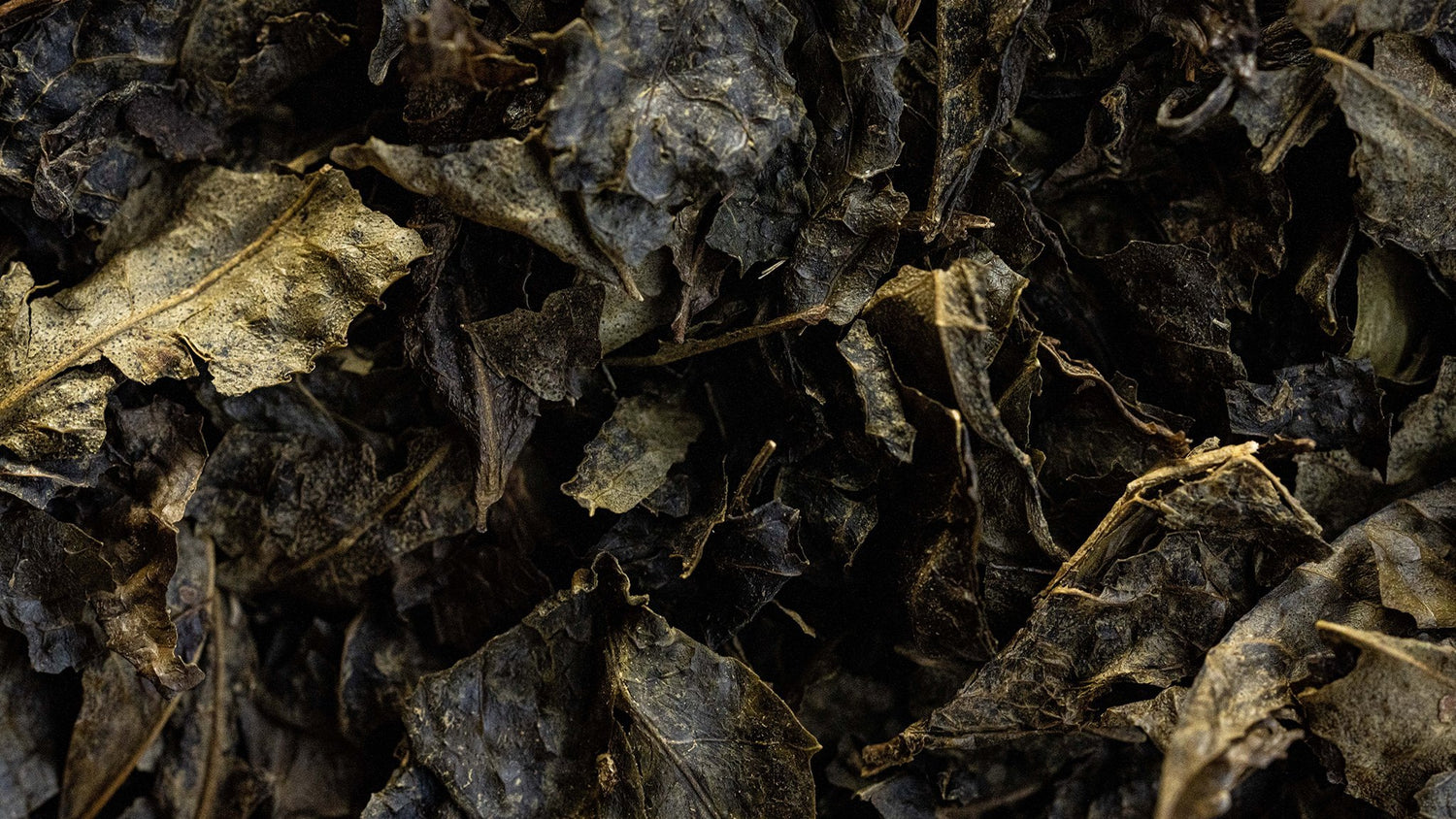 AWA BANCHA - ANAEROBICALLY FERMENTED DARK TEA | O5 RARE TEA BAR