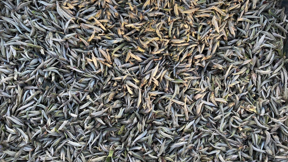 Matcha Near Me, Green Tea, Rare Teas, Pu Erh