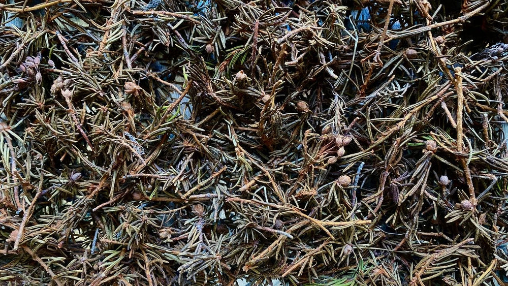 TUNDRA TEA | RANKIN INLET, NUNAVUT | O5 RARE TEA BAR